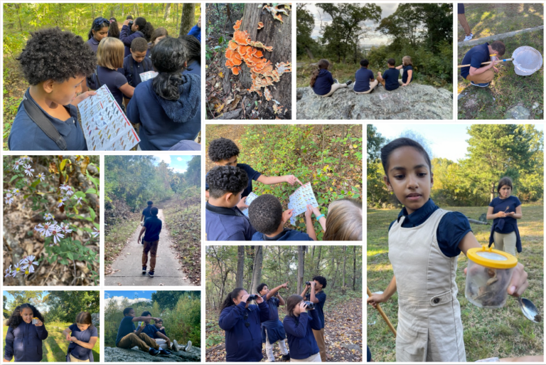 Connecting with Nature | Paul Cuffee School